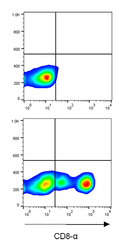 Very Good Staining Of Human Cd8 By Flow Cytometry Using Fitc Labelled
